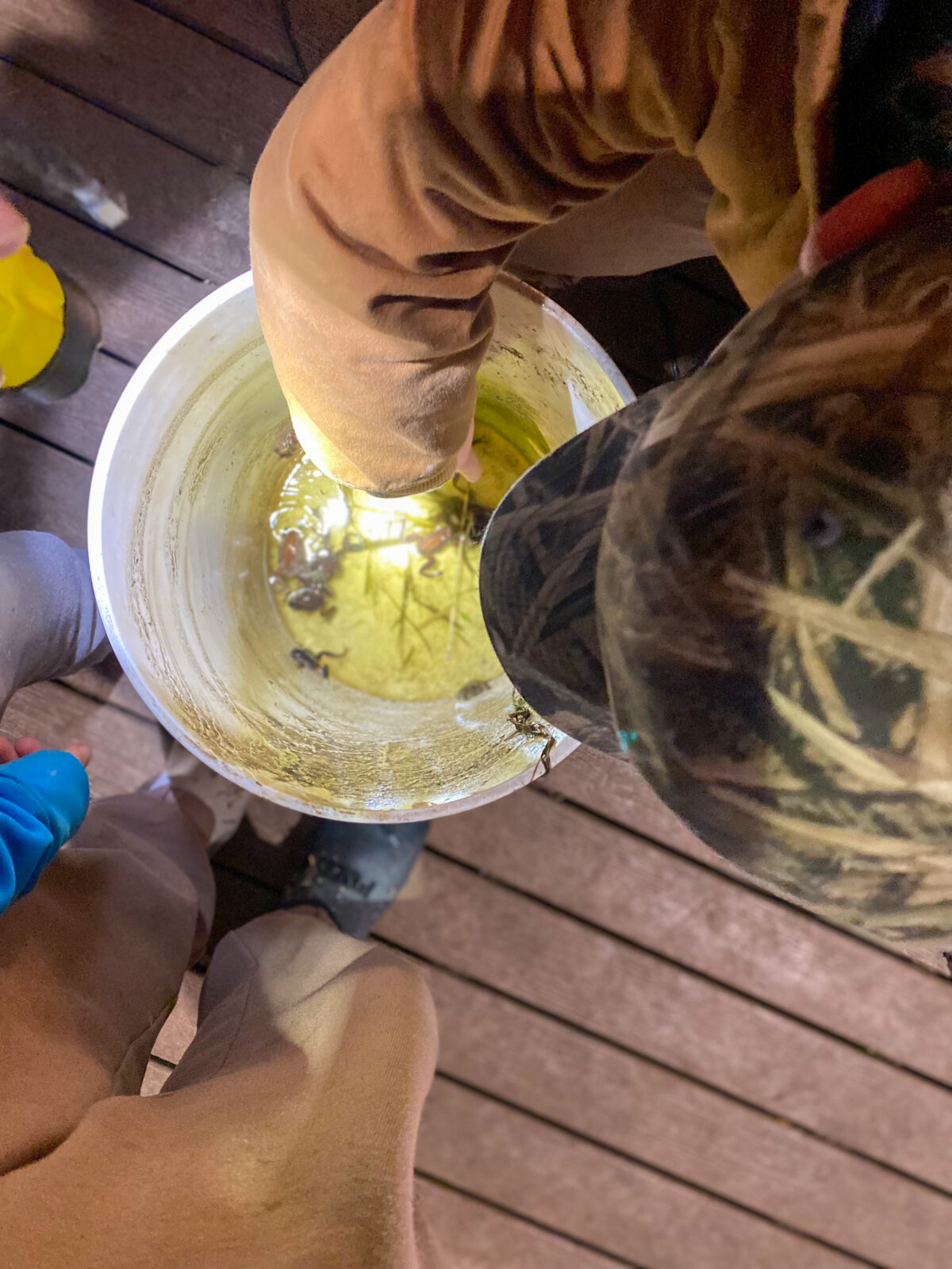 Frog Hunting in the Spring | widnorfarmsblog.com